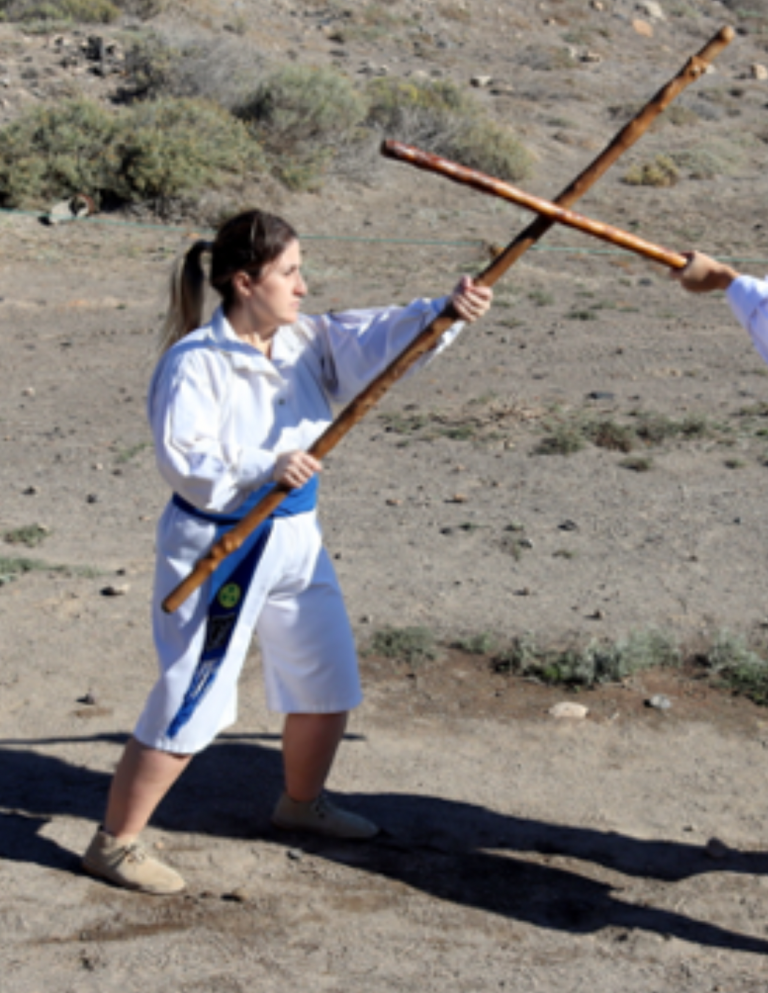 ¿Qué es? – Federacion de lucha del garrote